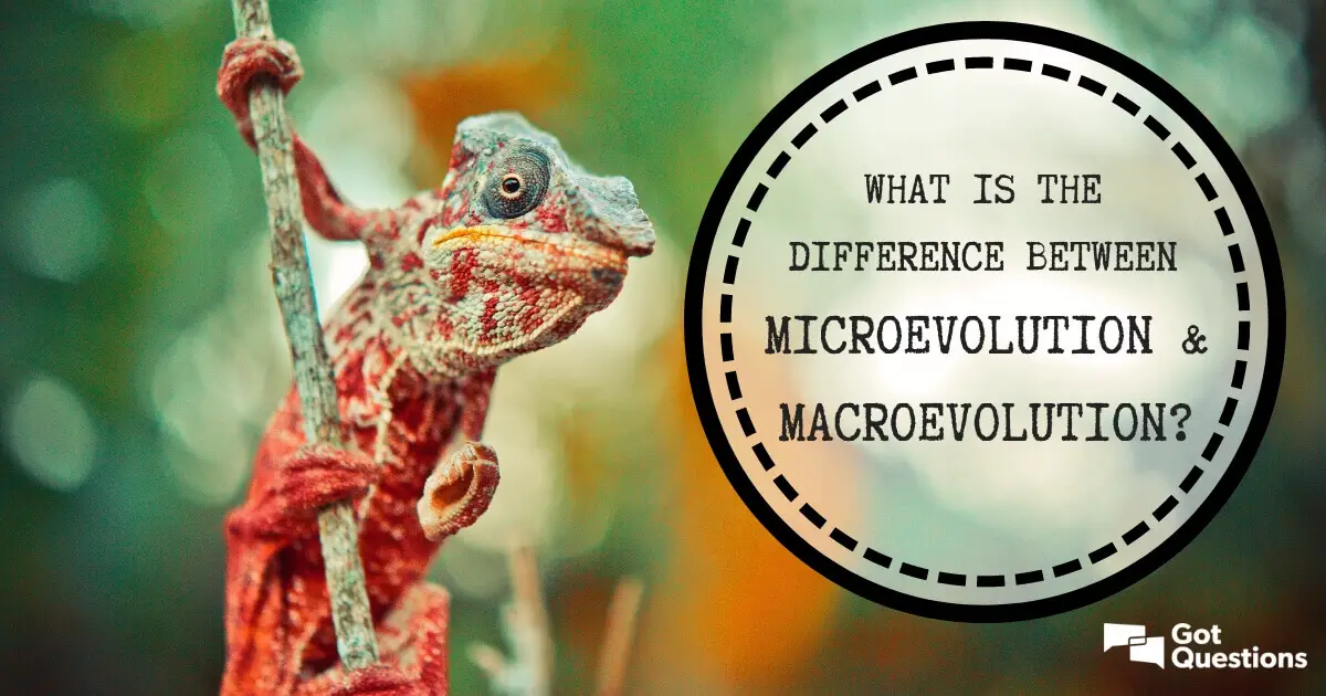 Qual é a diferença entre microevolução e macroevolução? - Bíblia da Bíblia